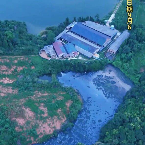 宜丰县迅速成立联合调查组_养殖_石市镇_联合工作组