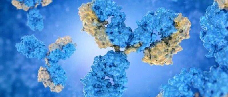 双特异性抗体的链配对技术_双抗_CrossMab_方法