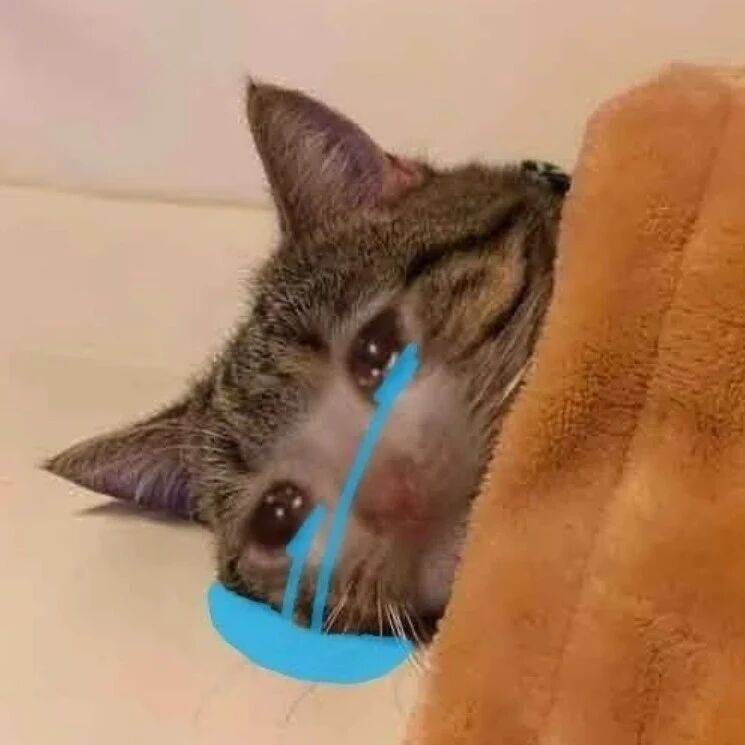 H1b最新情报！已更新至9.28…【互助讨论群】速来！_影响_pp_新政