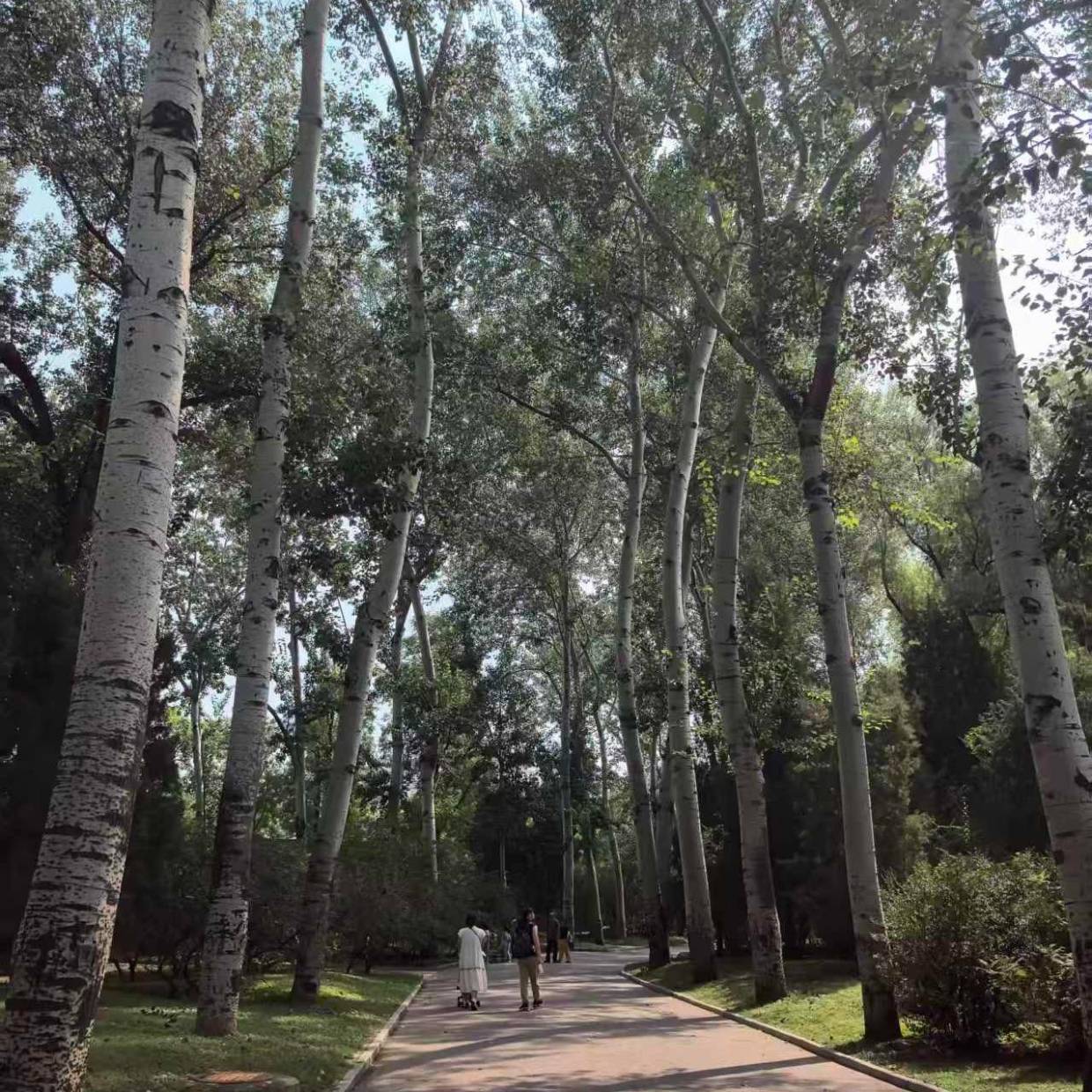 2025热解析仪优质厂家推荐榜_检测_仪器_鲁创