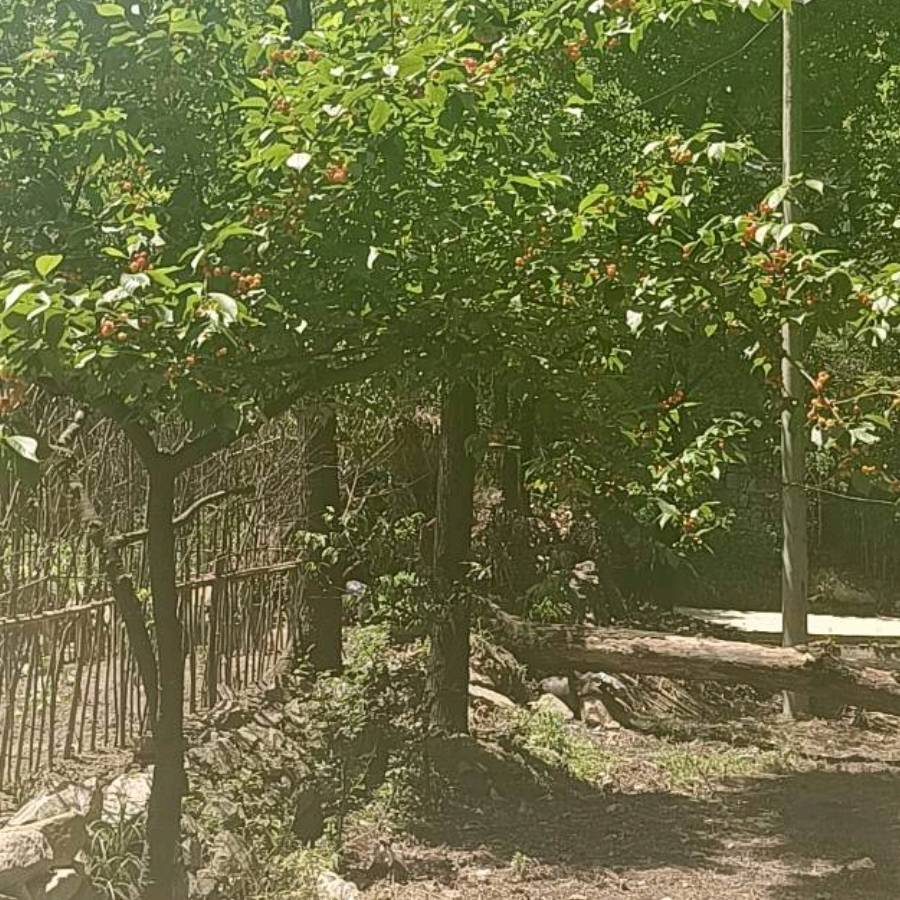 AI视角揭秘：AIPC究竟是什么？它如何重新定义个人计算的未来？_人工智能_电脑_集成