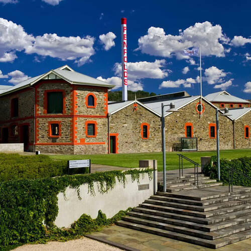 奢华品味：轩尼诗XO与奔富BIN95，送礼自饮两相宜！_场合_消费者_价格