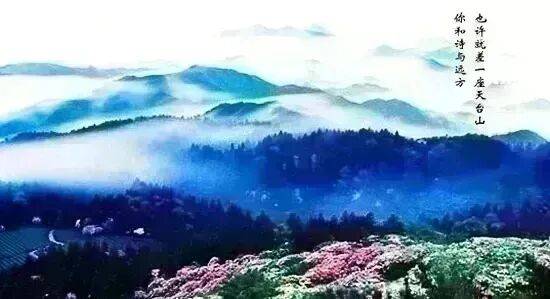 祝贺！陈正华当选民进天台县总支部主任委员！_组织_建设_服务大局