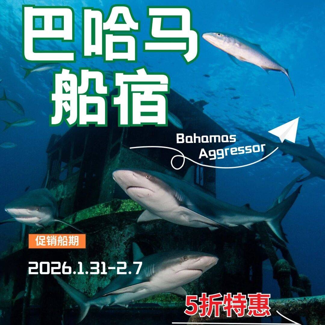 骨折 | 巴哈马 Bahamas Aggressor 船宿行程5折促销！_Exuma_Cays_and